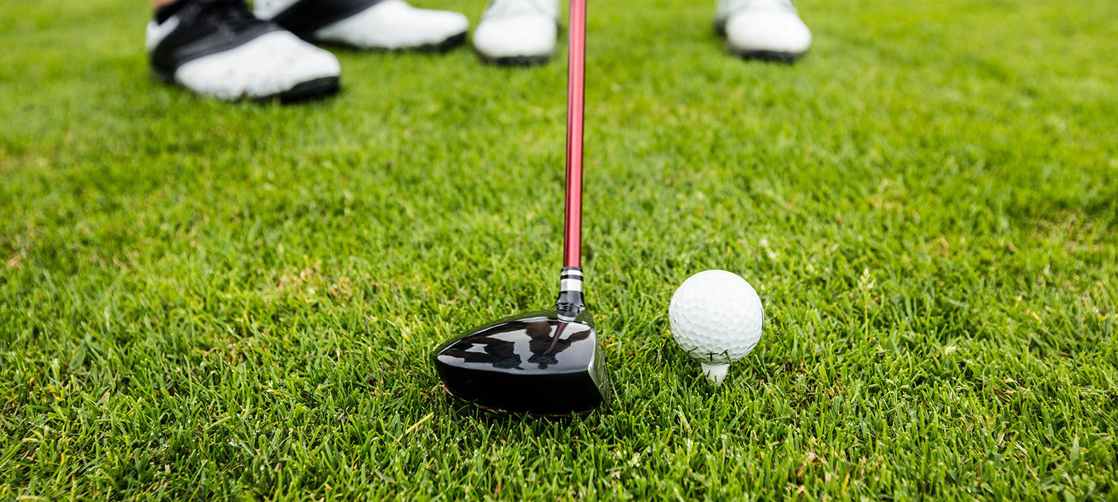 De Golfschool - Golfbaan Kralingen
