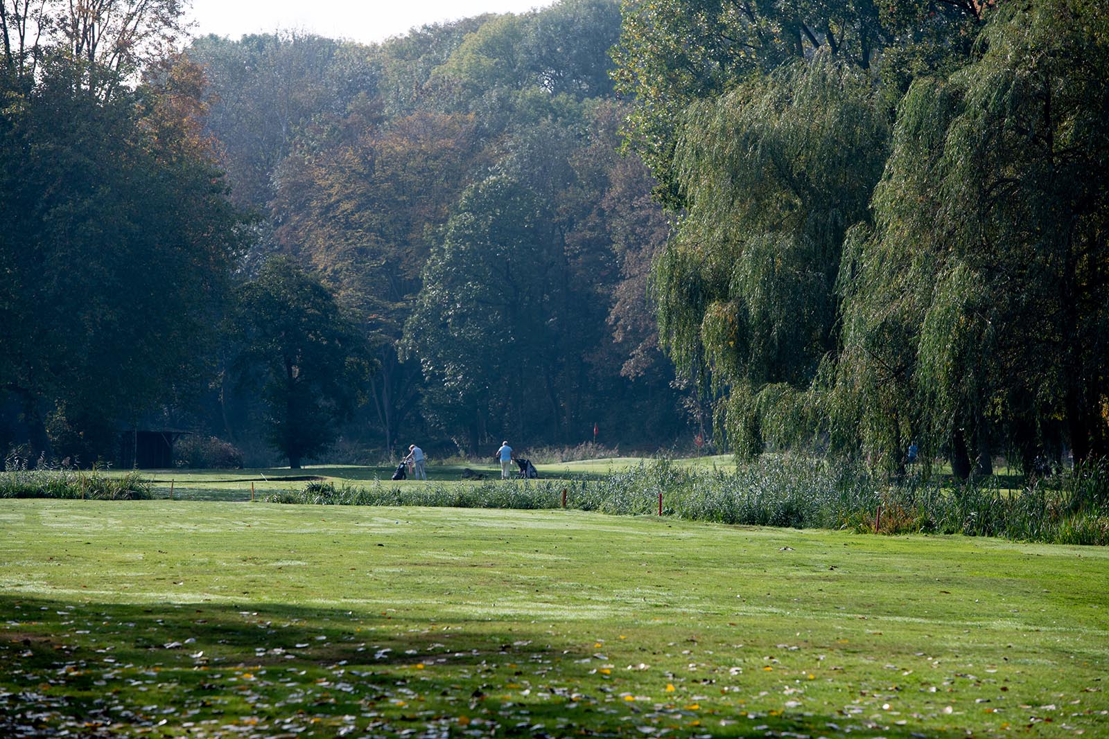 Tarieven golfschool - Golfbaan Kralingen